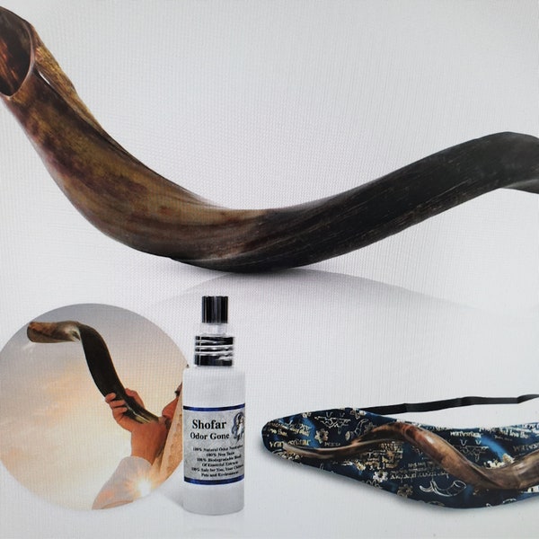 Shofar From Israel - Etsy