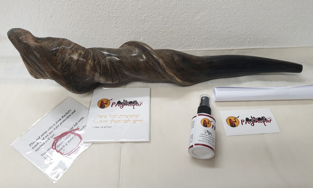 M-L Unique Male Eland Shofar Set From the Holy Land - Half Polished ...