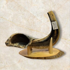 Ram Horn Shofar Trumpet From Israel + Wooden Stand - Polished Koѕhеr ...