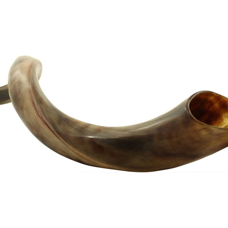 Shofar - Etsy