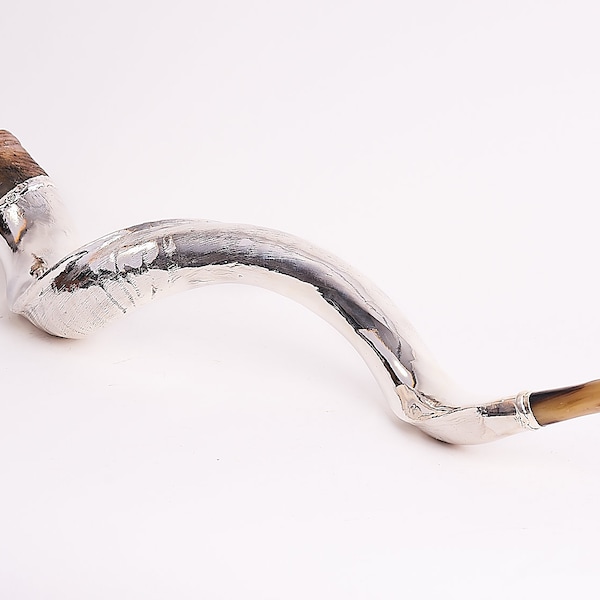 Shofar From Israel - Etsy