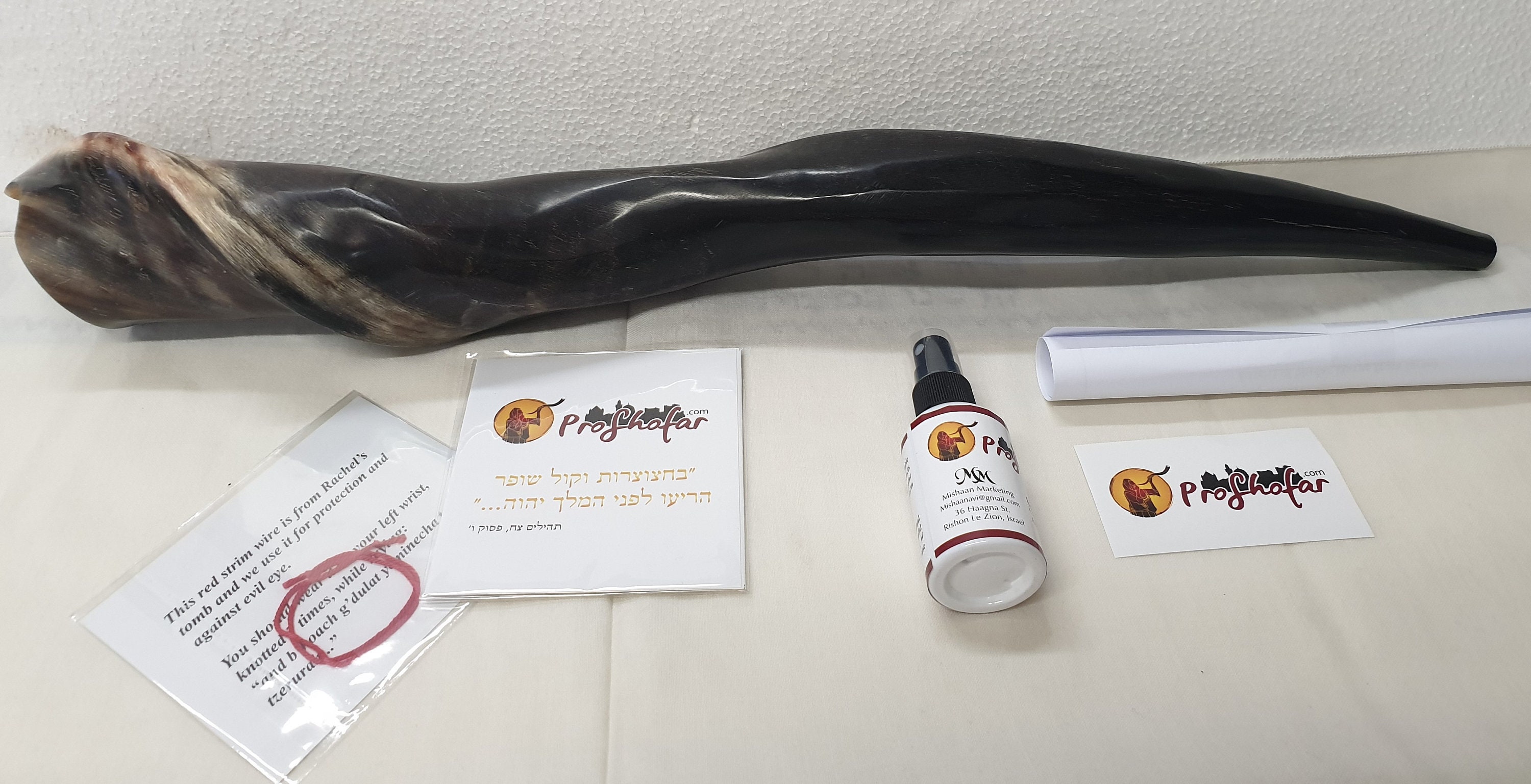 XL Unique Male Eland Shofar Set From the Holy Land -polished - the ...