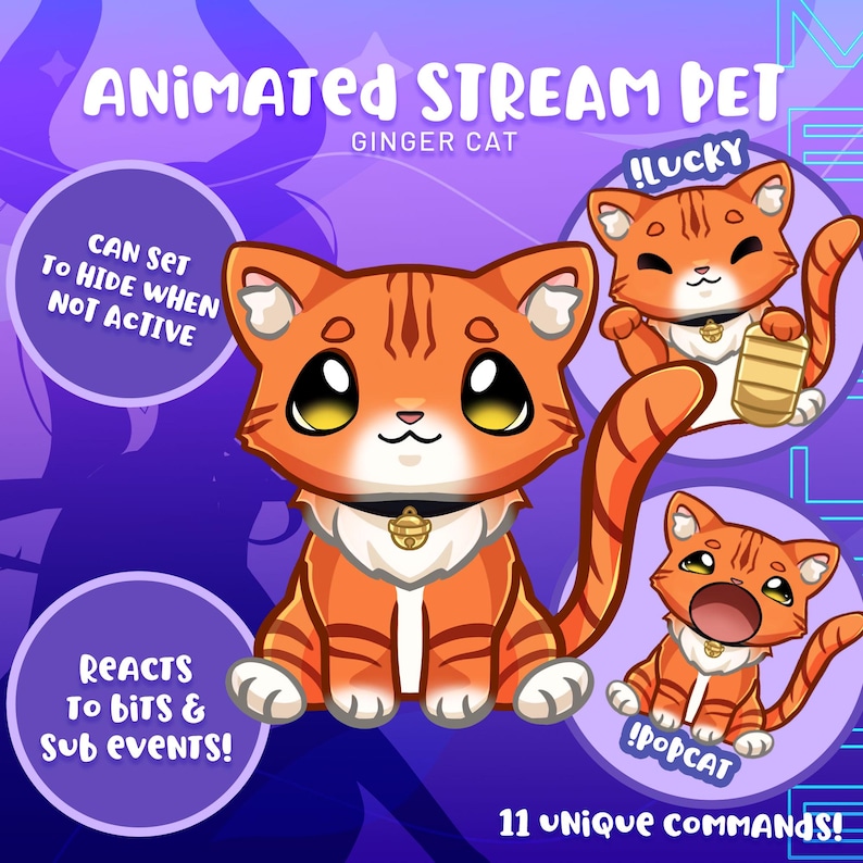 Interactive Ginger Cat Animated Twitch Stream Pet Overlay - Etsy