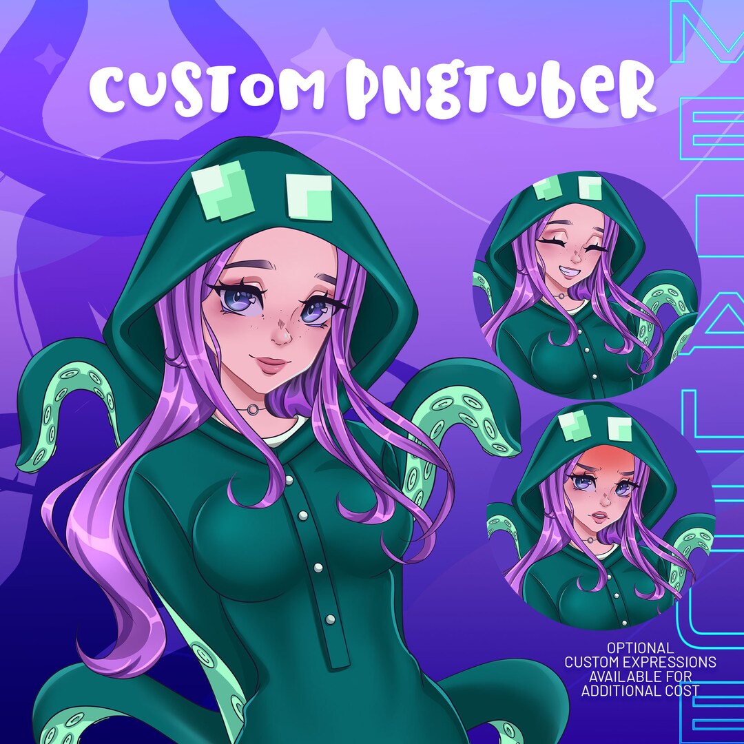 Custom Pngtuber Character Design for Streamers & Vtubers - Etsy