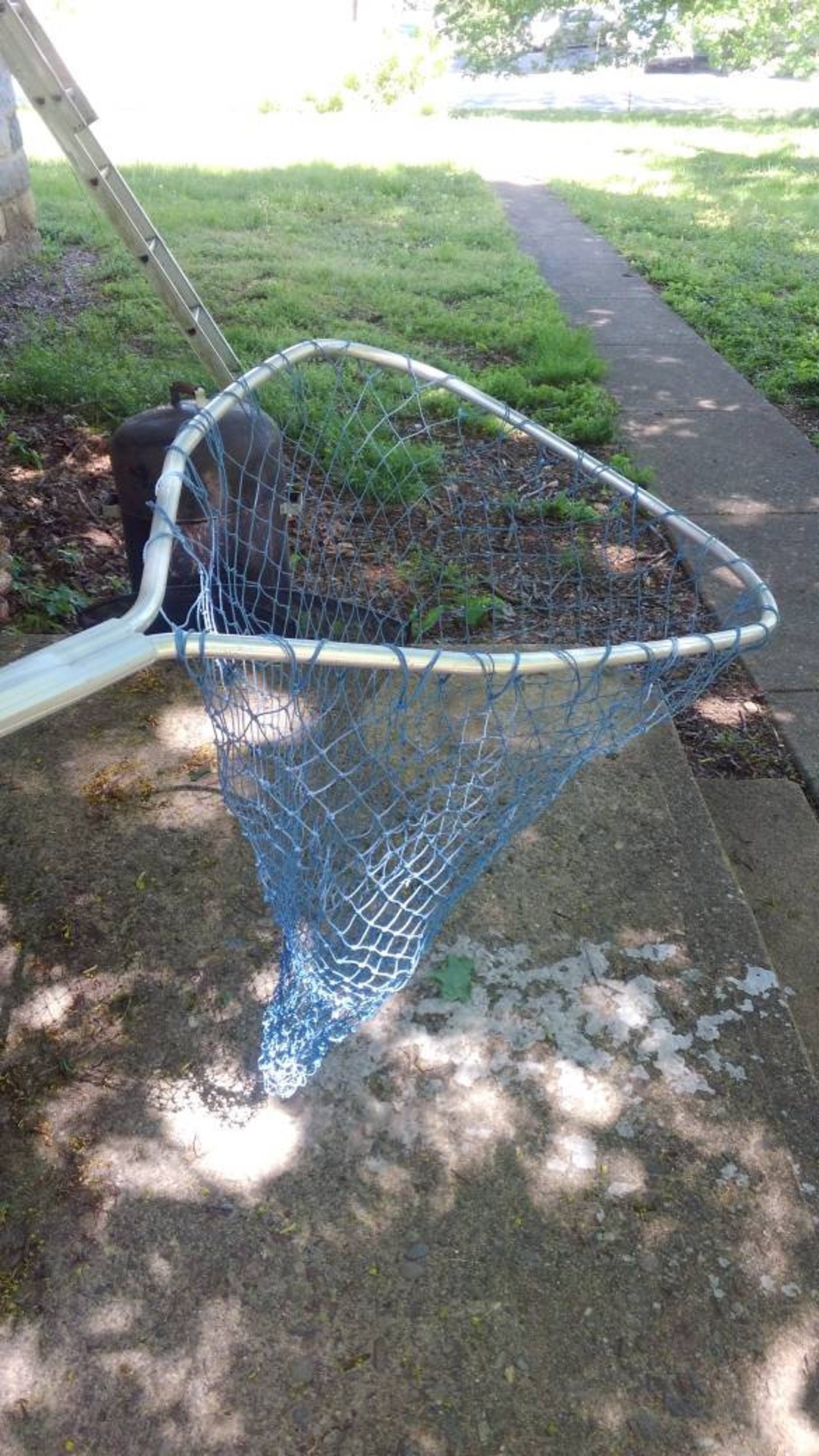Large Long Handled Aluminum Fishing Net for Pool Maintenance - Etsy