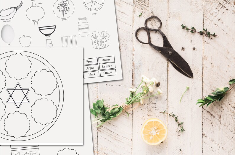 Seder Plate Activity for Kids Passover Colouring Pages DIY - Etsy