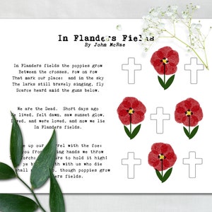 Veterans Day Handprint Crafts for Kids DIY Poppy Art - Etsy