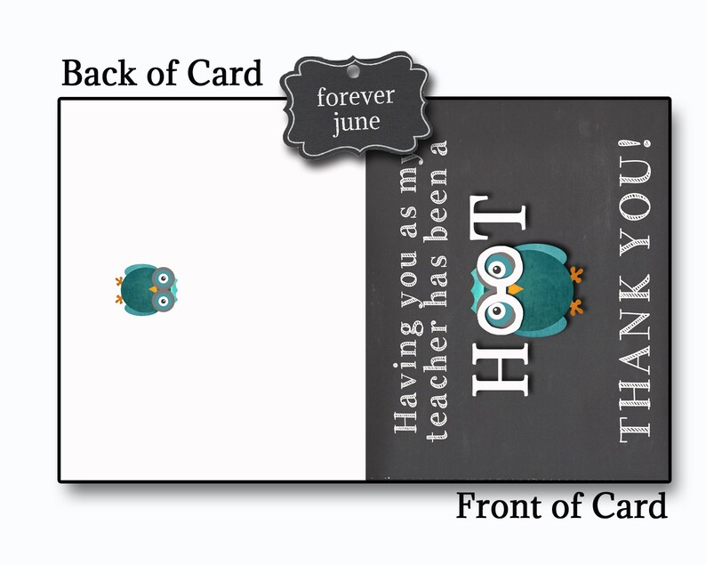 Printable Owl Teacher Thank You Card (digital Download) - Etsy