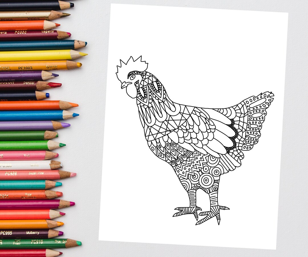 Chicken Adult Coloring Page - Zentangle Download - Etsy
