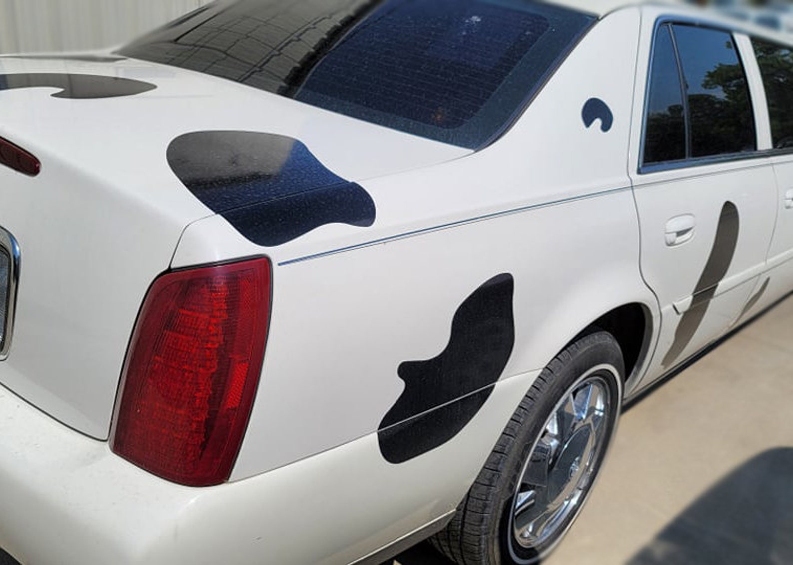 Cow Spots Decals Animal Print Large Cow Pattern Western Theme - Etsy