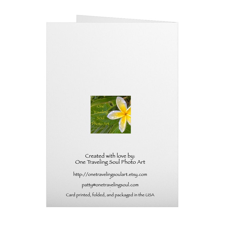 5 Years Sober Birthday Sobriety Milestone Sobriety Card | Etsy