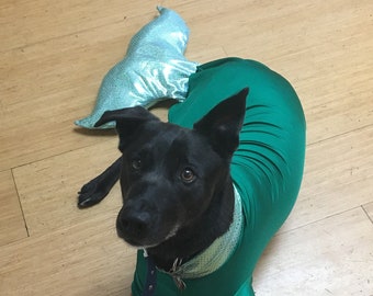 Dog Mermaid Tail | Etsy