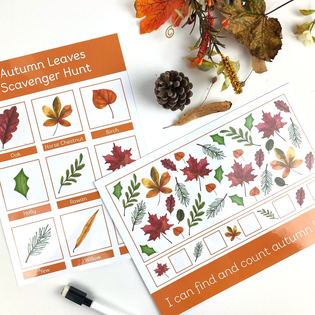 Autumn Leaves Scavenger Hunt & Find and Count Learning Mats - Etsy UK