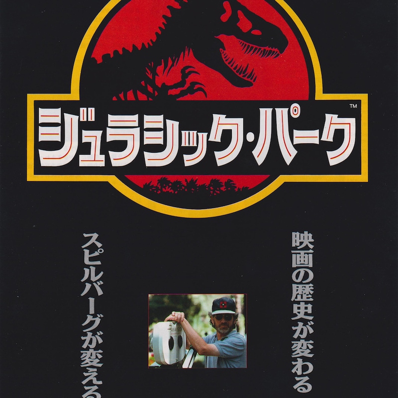 Japanese Chirashi Posters - Etsy