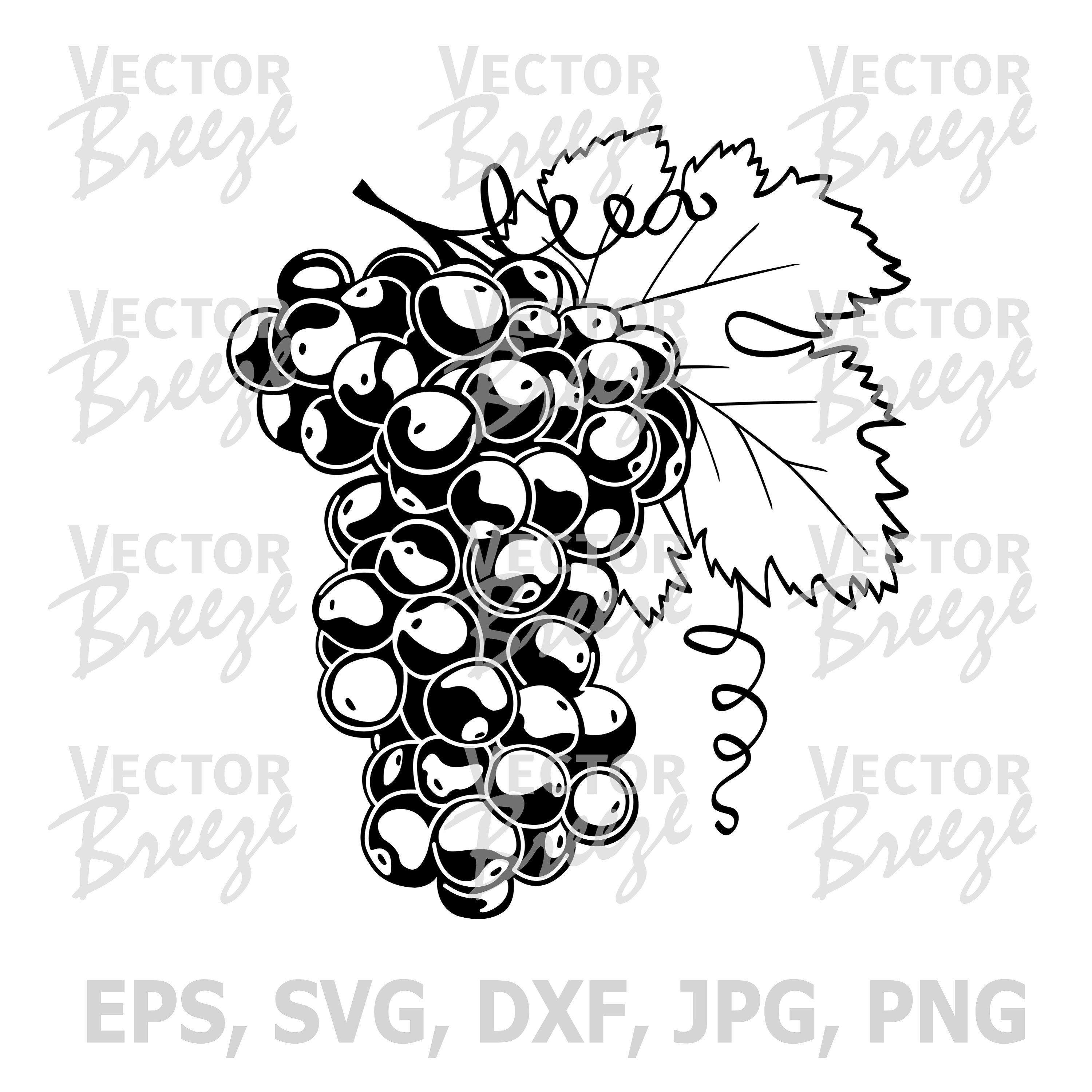 Grape SVG Vector Grapes Fruit Original Hand Drawn Art Image Digital ...