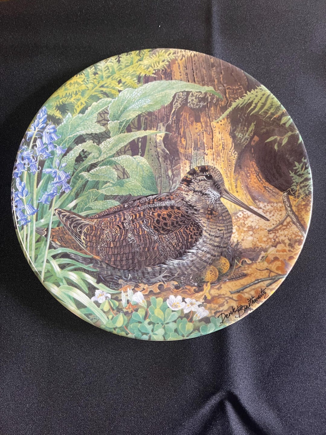 Royal Grafton Collectors Plate Woodcock 1989 Derek Braithwaite - Etsy