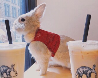 Pet rabbit clothing | Etsy