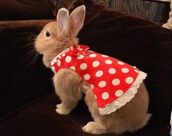 Pet rabbit clothes | Etsy