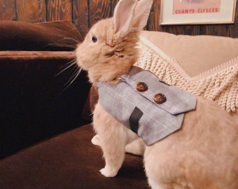 Pet rabbit clothes | Etsy