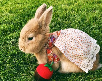 Pet rabbit clothing | Etsy