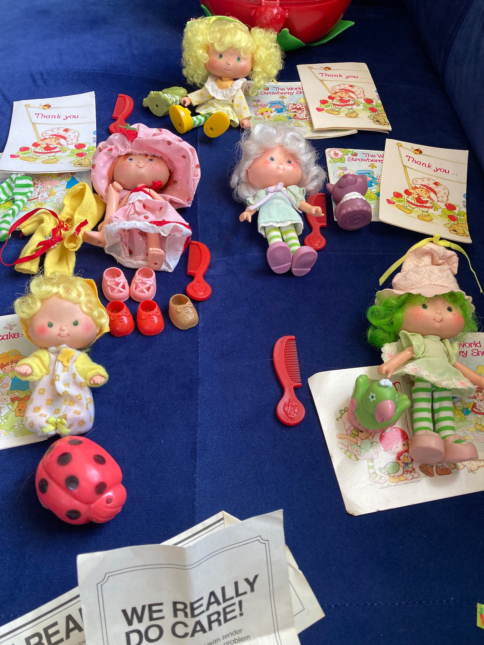 Vintage Strawberry Shortcake Doll Collection With Strawberry Carrying ...