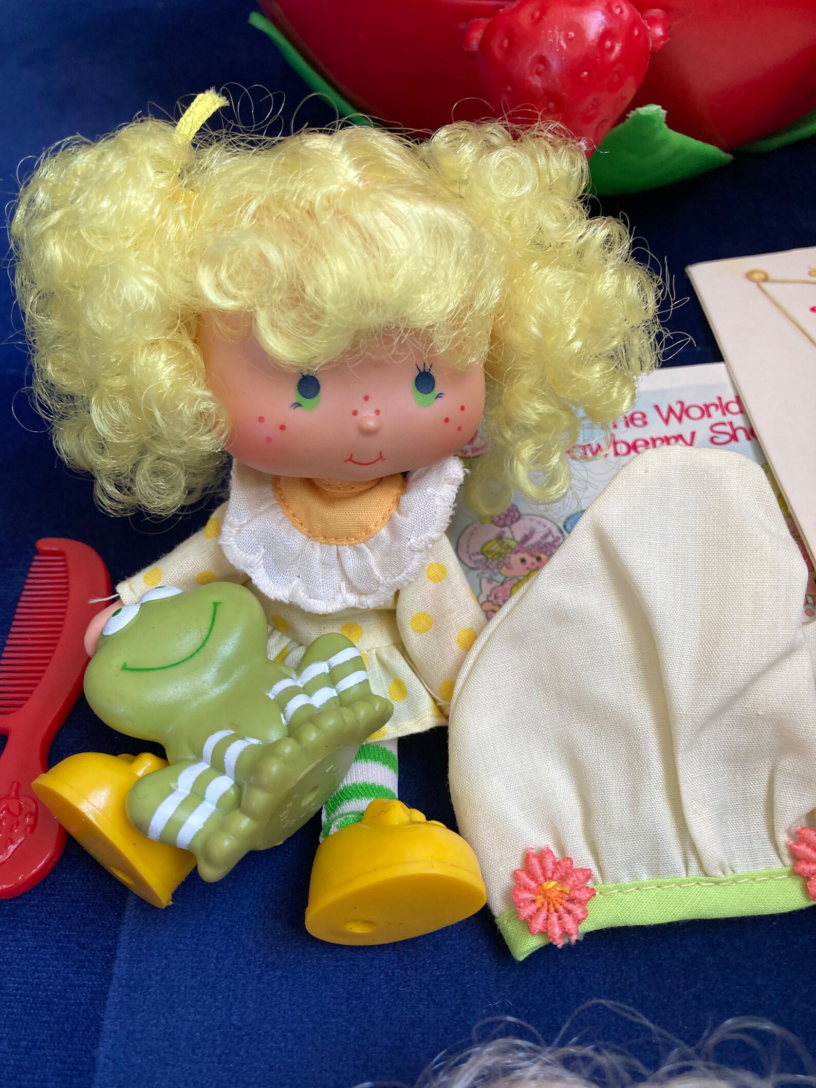Vintage Strawberry Shortcake Doll Collection With Strawberry Carrying ...