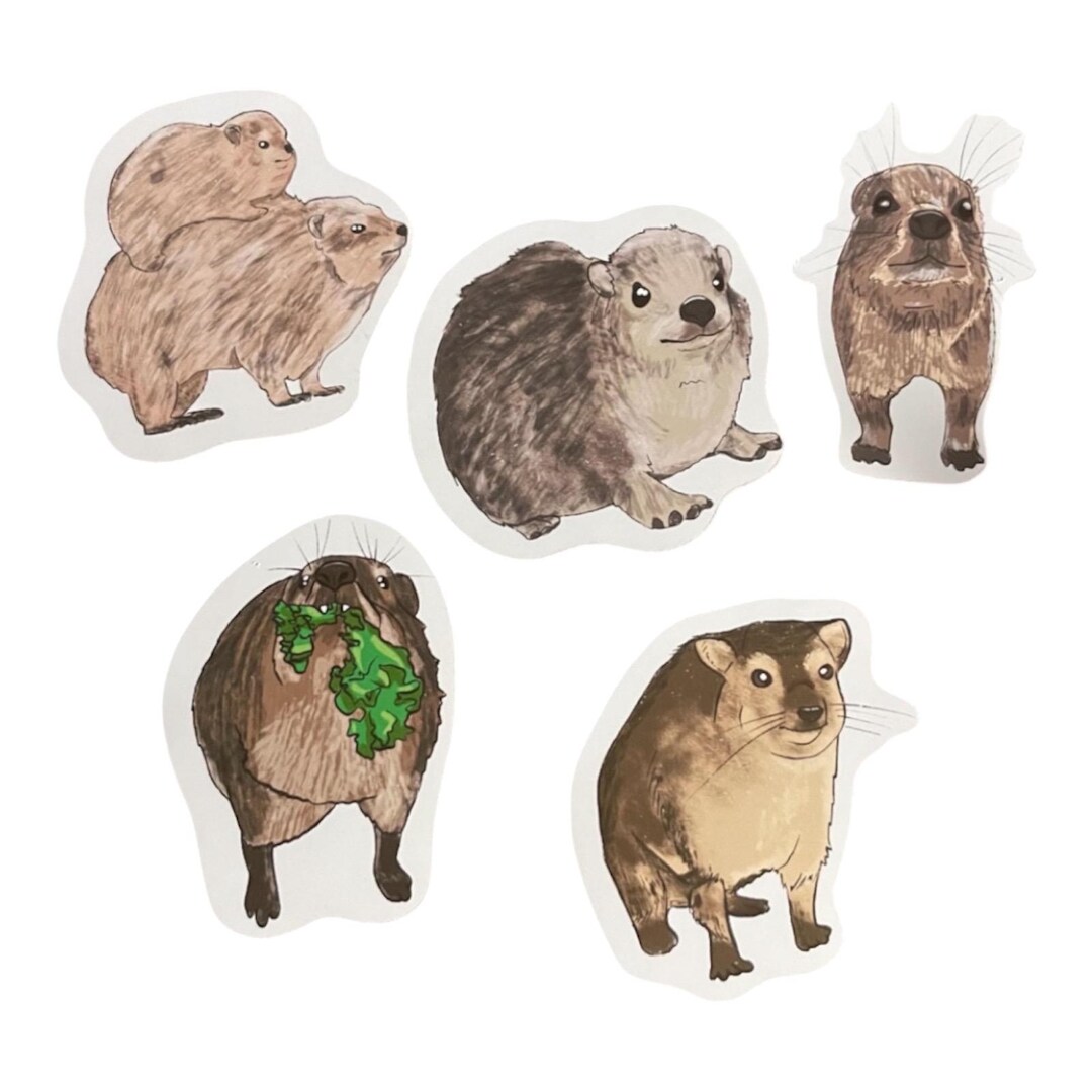 Hyrax Sticker Set - Etsy