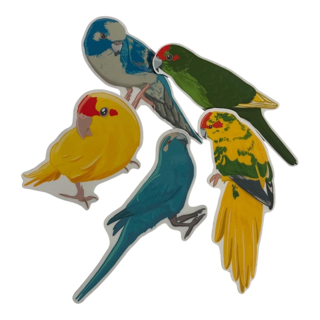 Kakariki Sticker Pack - Etsy