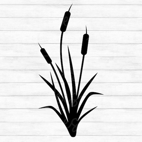 Cattail Instant Digital Download Svg Png Dxf and Eps - Etsy
