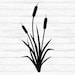 Bulrush Plant SVG, Cattail Svg, Bulrush Plant Clipart, Bulrush Plant ...