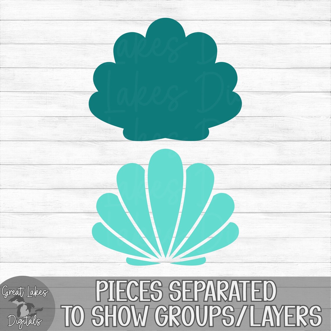 Seashell Instant Digital Download Svg Png Dxf and Eps - Etsy UK