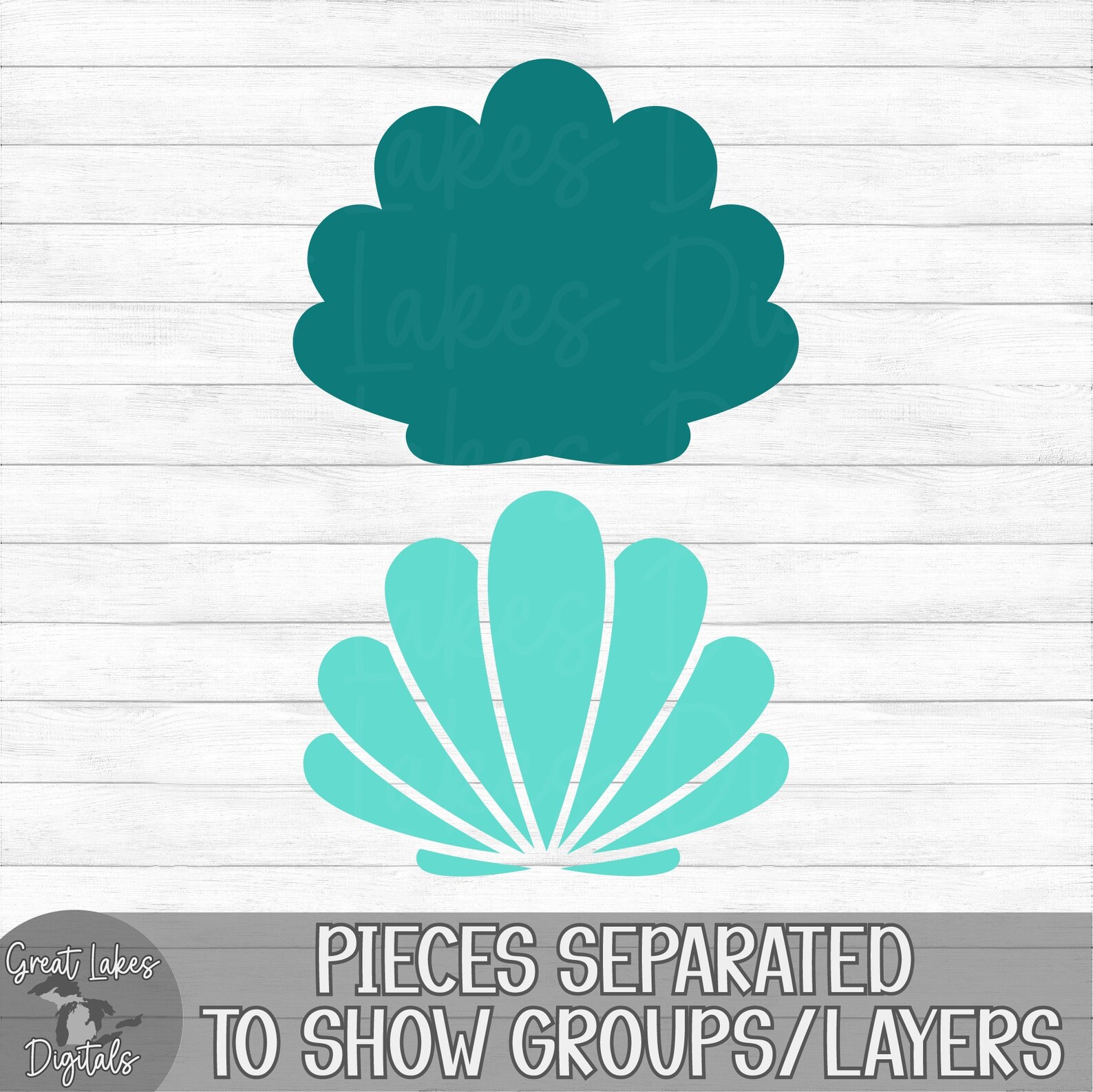 Seashell Instant Digital Download Svg Png Dxf and Eps - Etsy