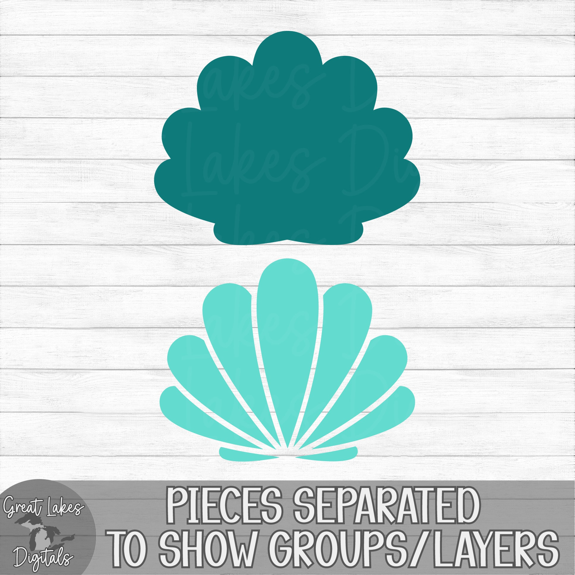 Seashell Instant Digital Download Svg Png Dxf and Eps - Etsy UK