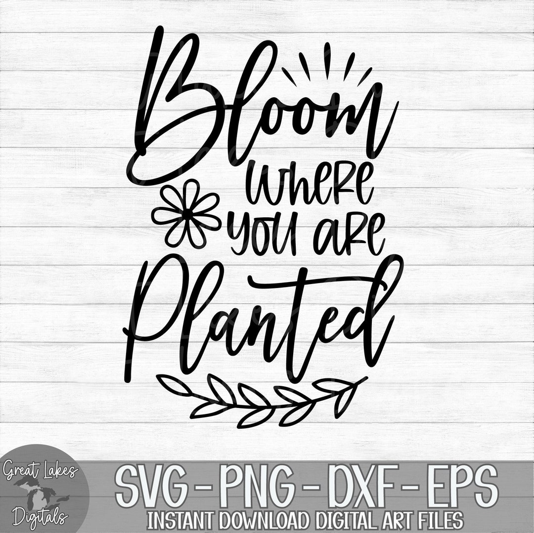 Bloom Where You Are Planted - Instant Digital Download - Svg, Png, Dxf ...