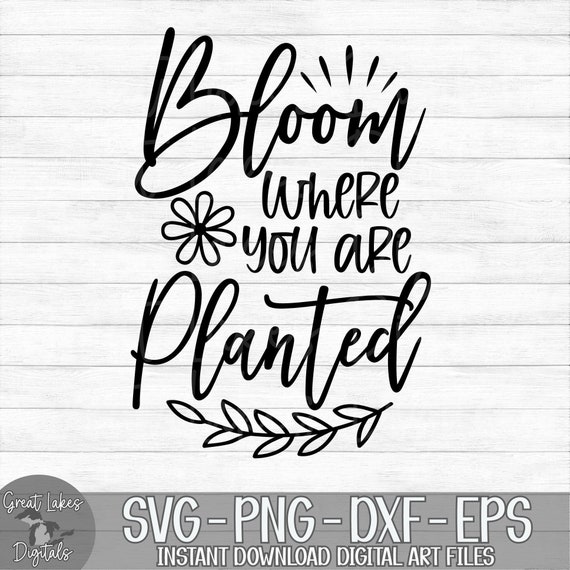 Bloom Where You Are Planted Instant Digital Download Svg - Etsy