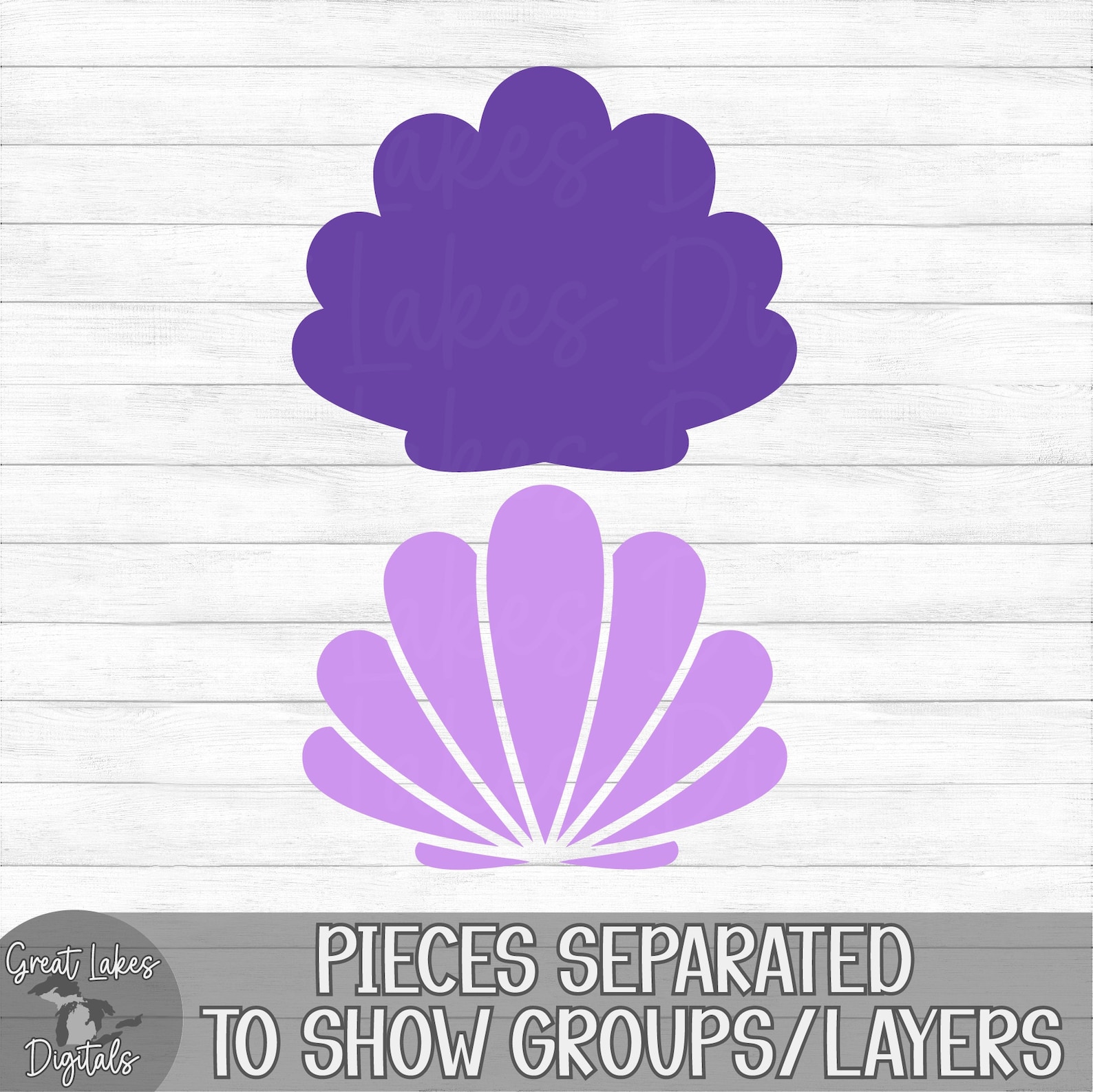 Seashell - Instant Digital Download - Svg, Png, Dxf, and Eps Files ...