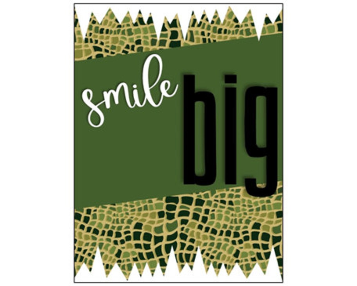 Animal Print Growth Mindset Classroom Posters, Classroom Decorations ...