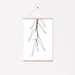 Willow Leaves Line Art: Minimalist Drawing (digital Download) - Etsy