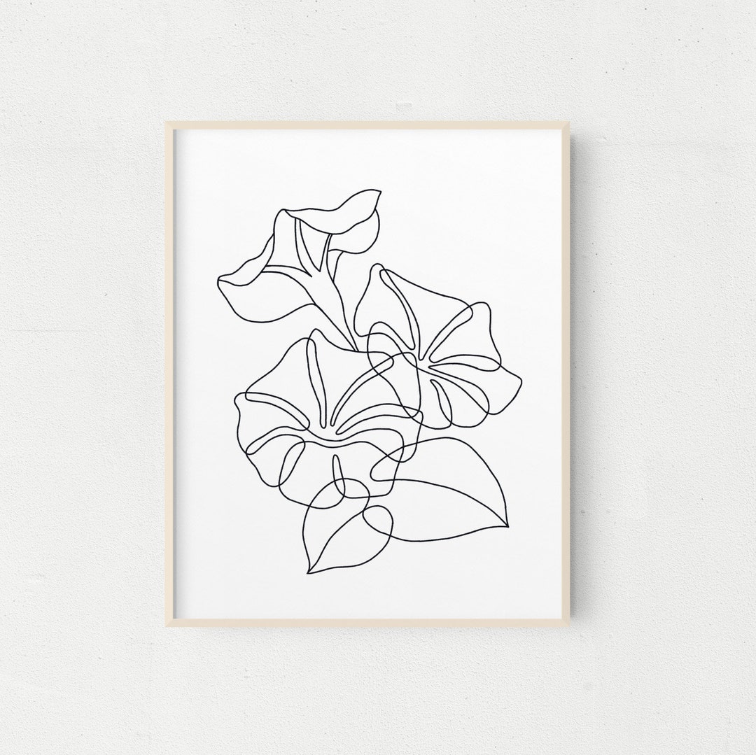 September Birth Flower, Morning Glory Line Drawing, Botanical Art ...