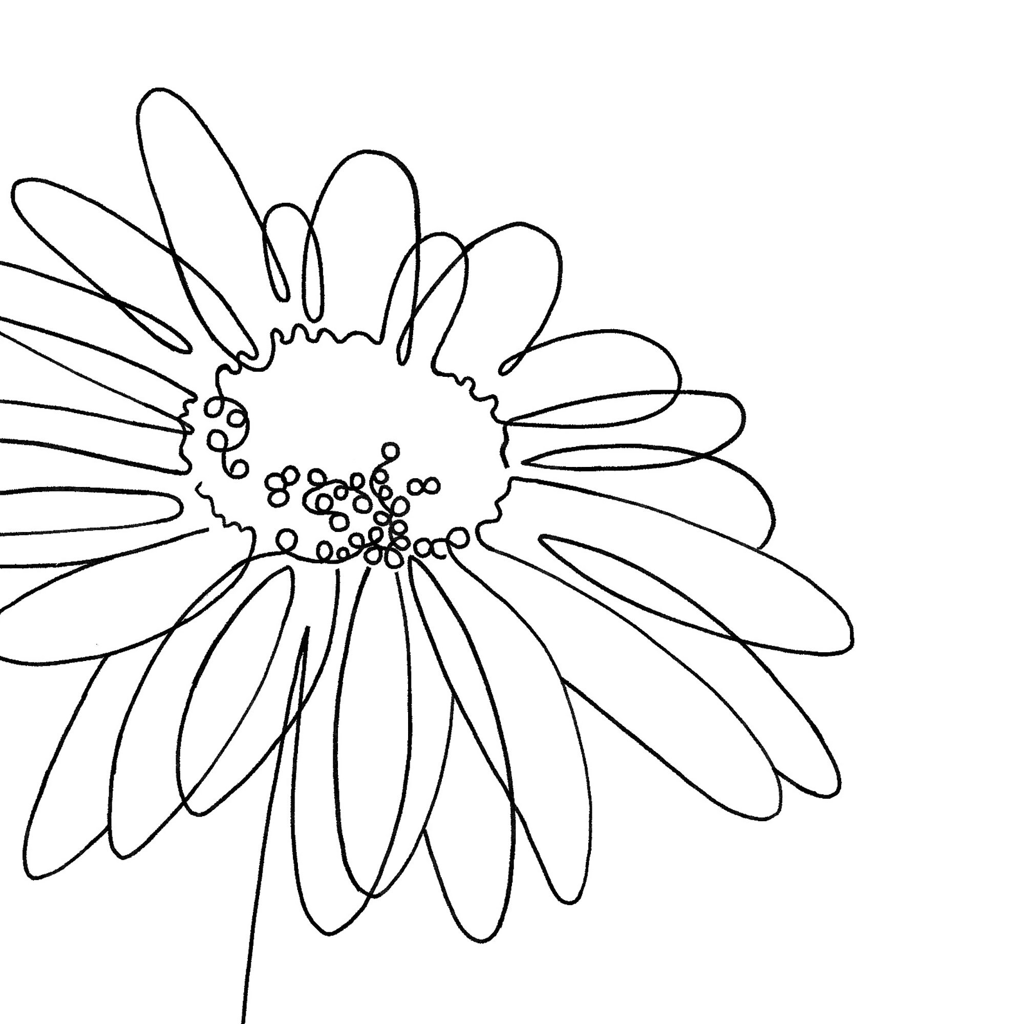 Daisy Line Drawing, April Birth Flower, Botanical Art, Daisy ...