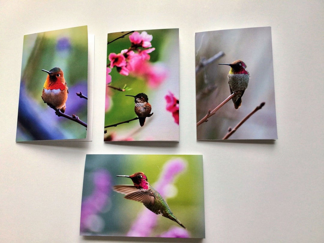 4 Hummingbird Note Cards - Etsy