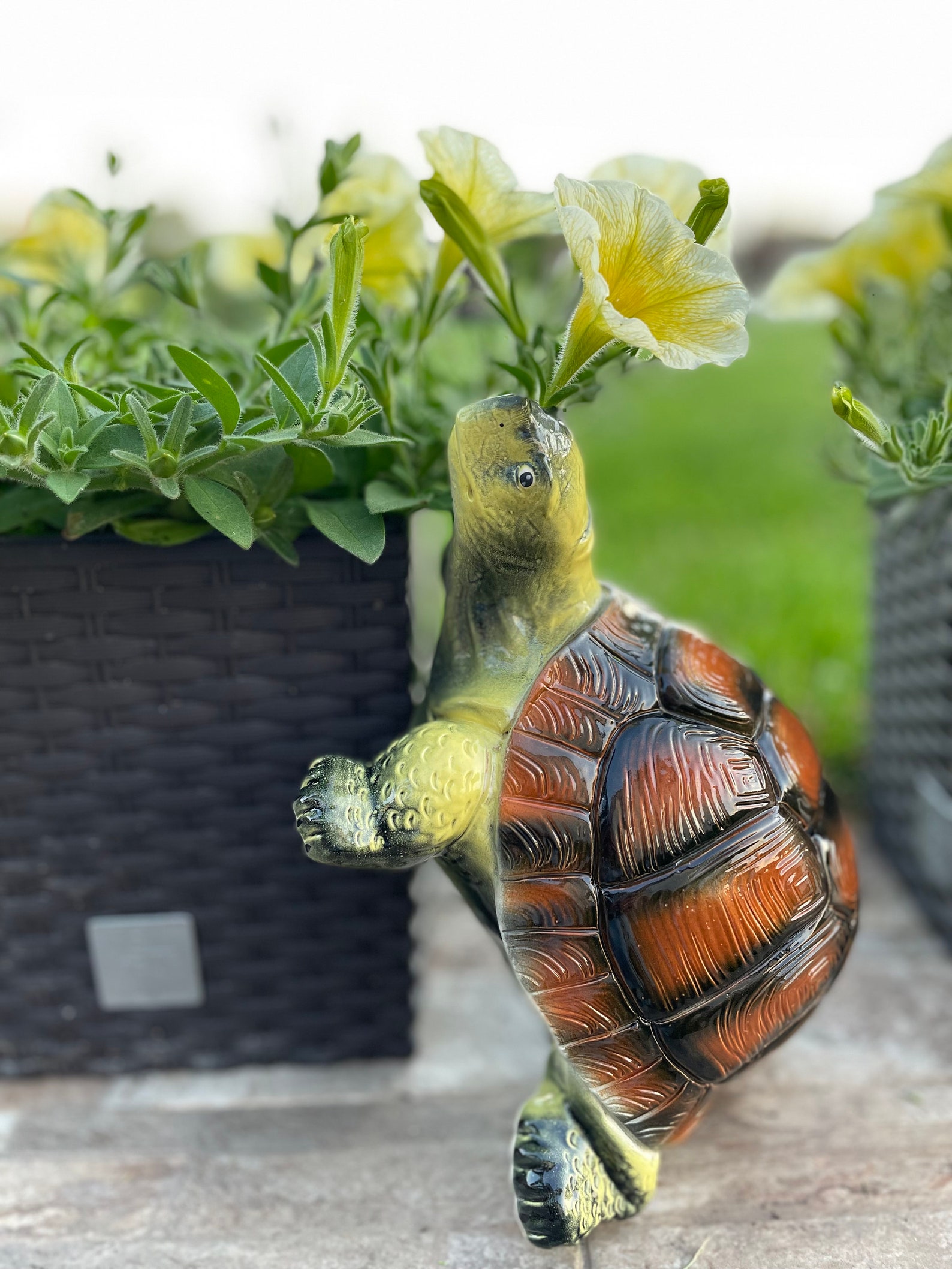Cute Turtle Ceramic Figure Figurine Statue Decor Home Outdoor | Etsy