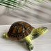 Cute Turtle Ceramic Figure Figurine Statue Decor Home Outdoor Garden ...