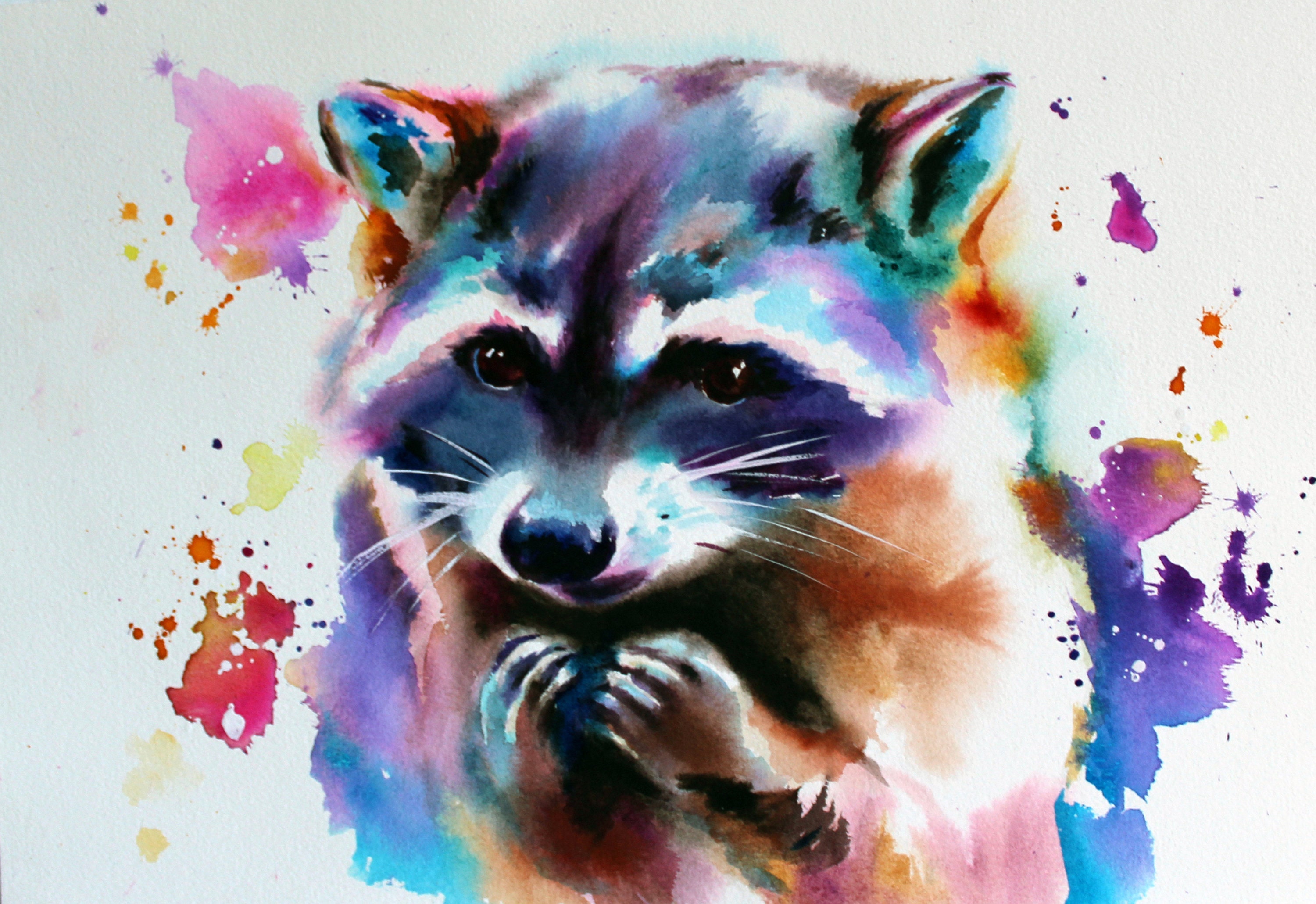 Raccoon Watercolor Painting Colorful Animal Art Illustration | Etsy