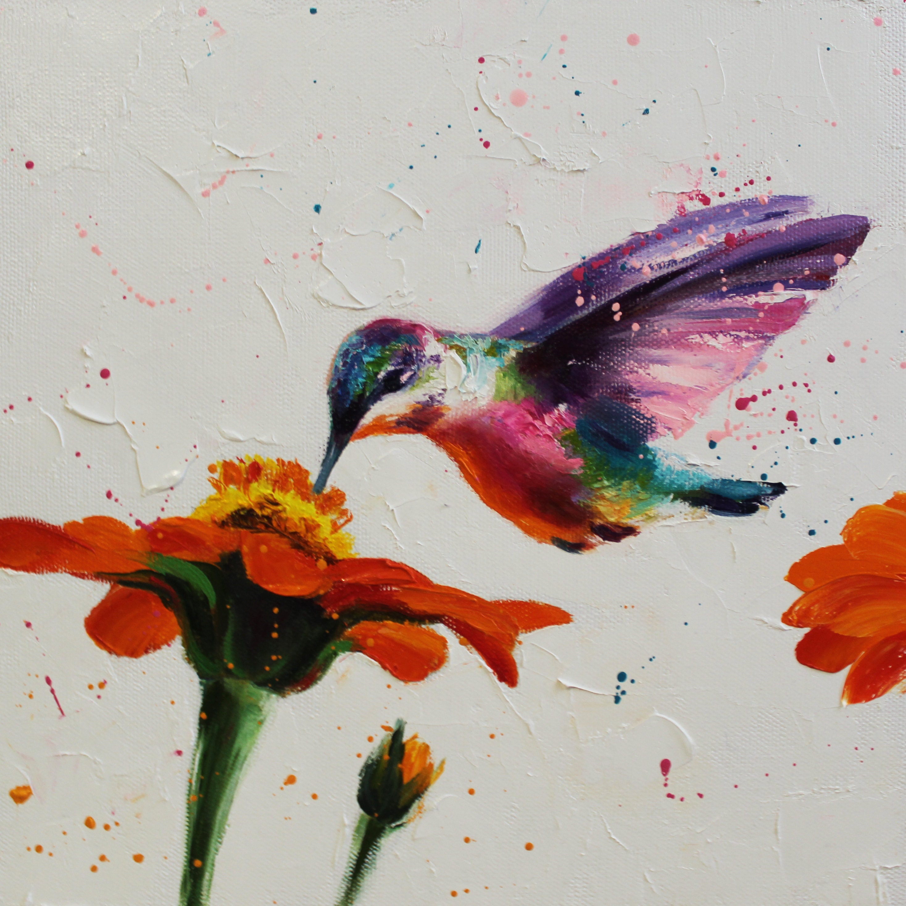 Colibrí pintura óleo original 12x12 pulgadas paleta cuchillo | Etsy