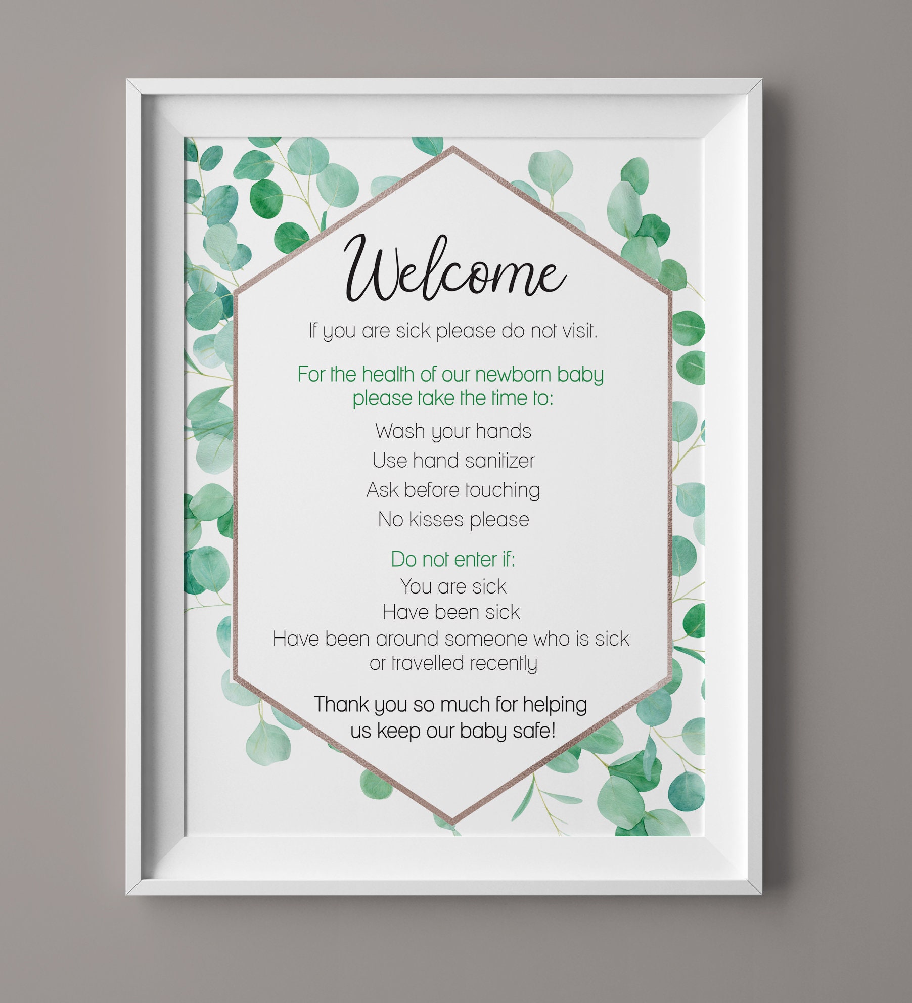 Eucalyptus Newborn Visiting Rules Sign Rules for Visiting | Etsy