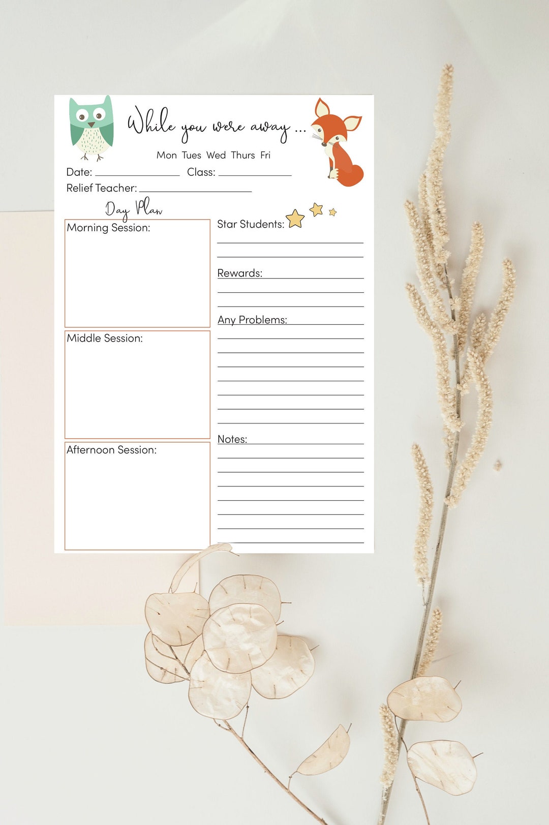 Relief Teacher Day Feedback, Substitute Teacher Feedback, Casual ...