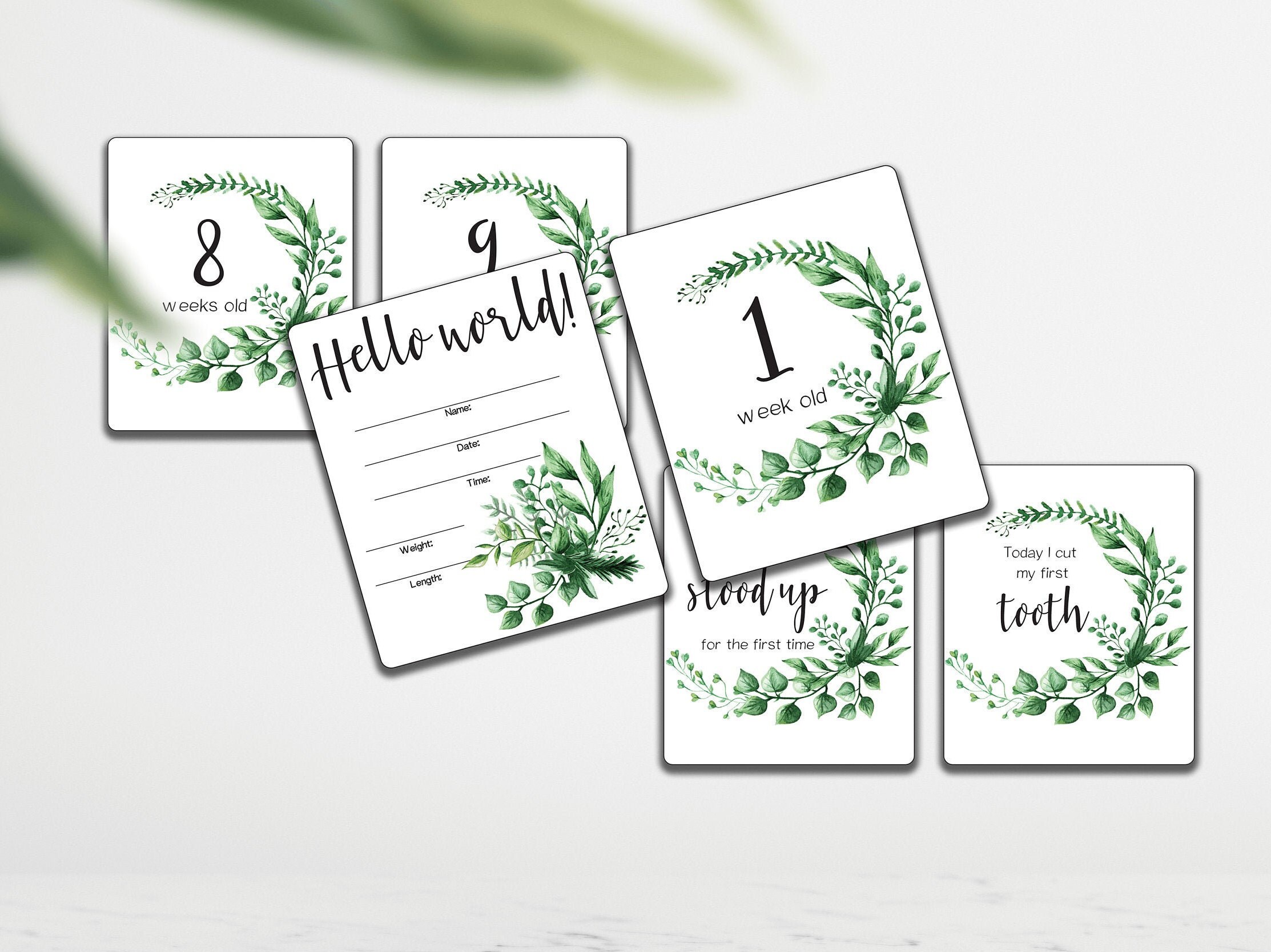 Baby Milestone Card Set Green Baby Milestone Card Set | Etsy
