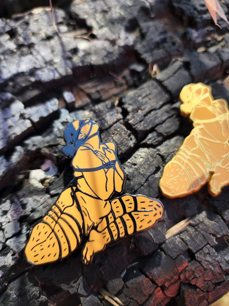 Chrysalis - Enamel Pin - Etsy