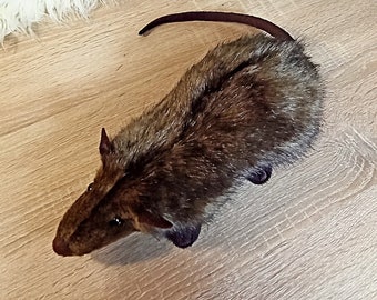 Realistic Albino Rat (MADE TO ORDER), Plush Animals, Lifelike Plush Toy ...